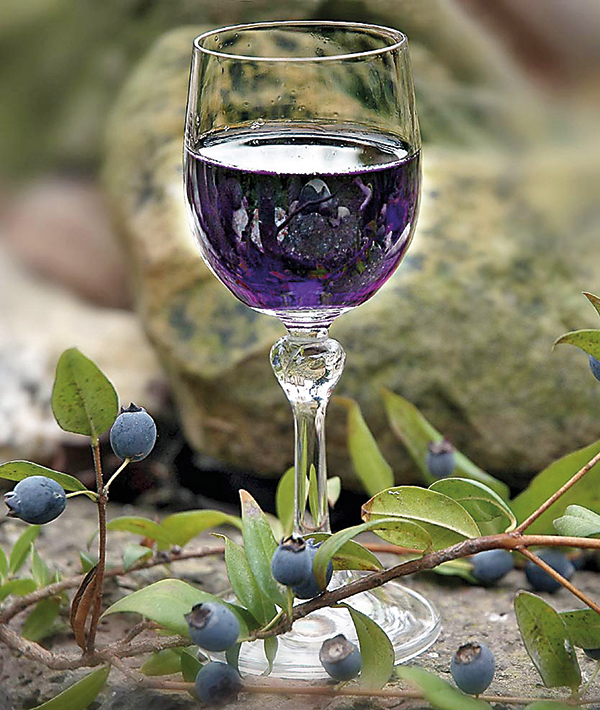 Natural fruit liqueur