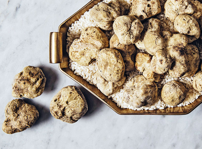 Tremendous Truffles - Taste & Flavors