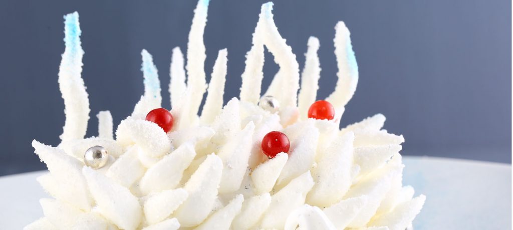 Vanilla/Raspberry Iced Vacherin - Taste & Flavors