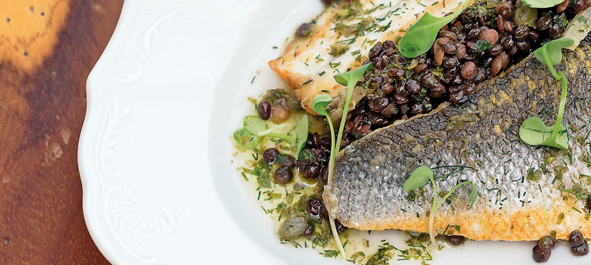 Sea Bass - Taste & Flavors