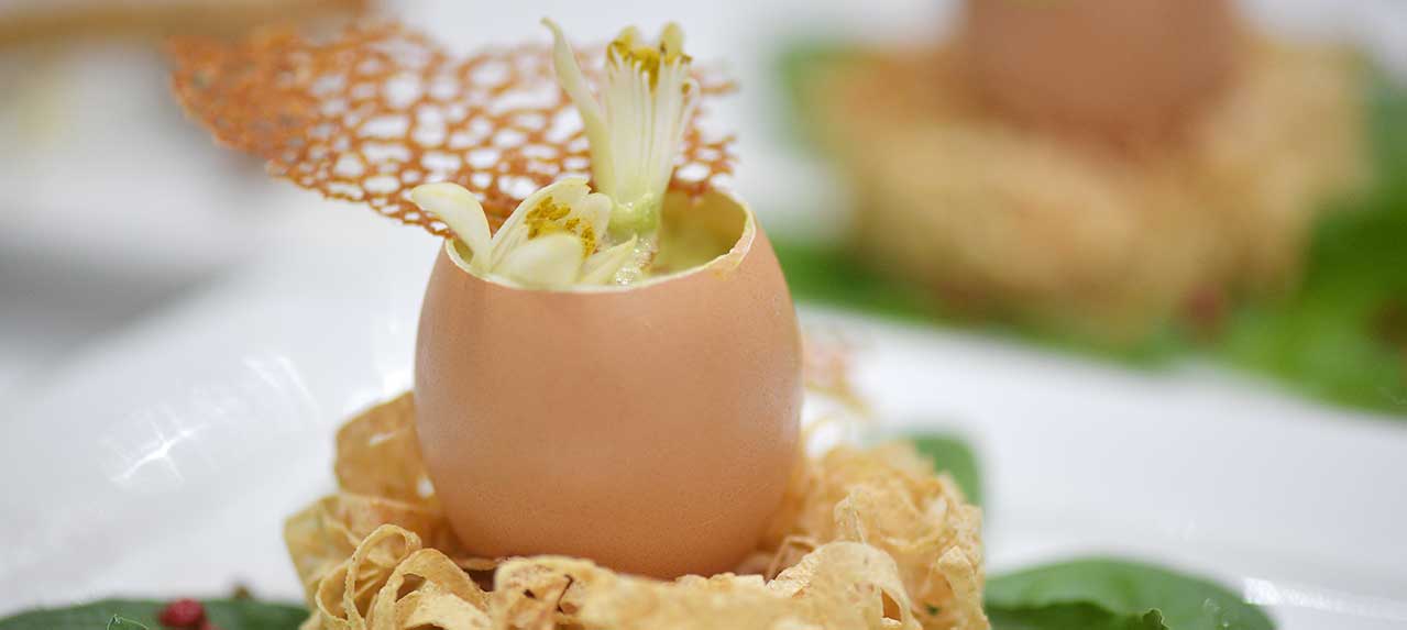 thomas-ciret-wide - Taste & Flavors