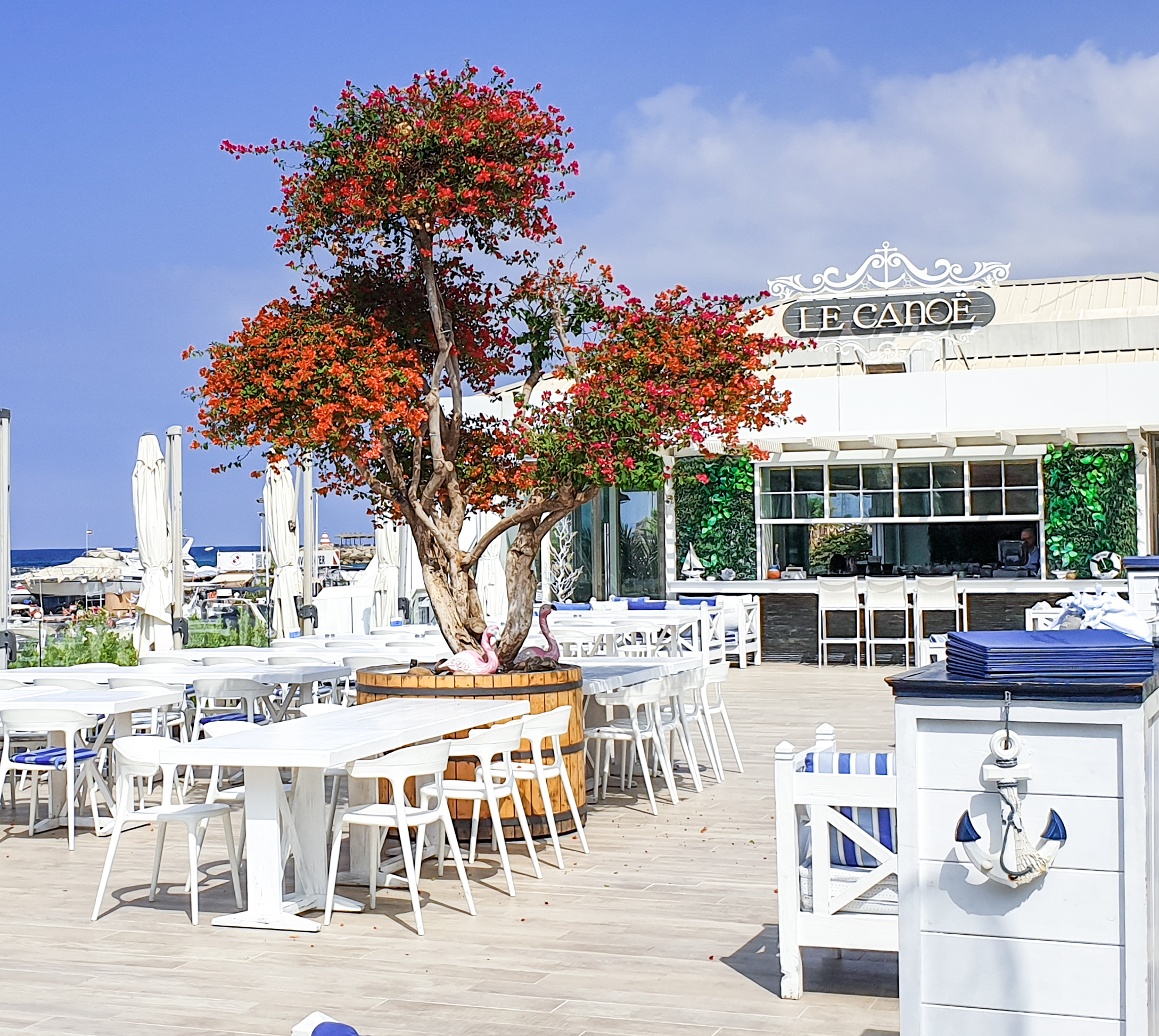 Le Canoe 2 - Taste & Flavors