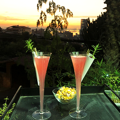 Lebanese cocktails with Arak Taste & Flavors Arak Cocktails