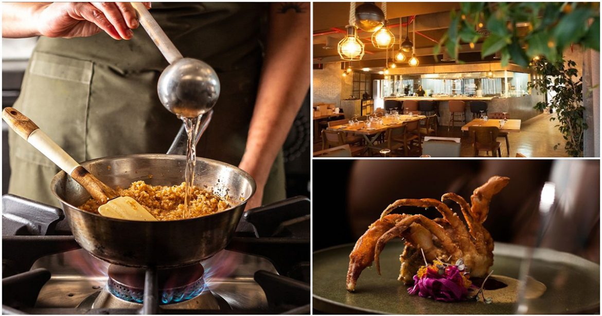 Fusions by Tala, a Synergy of Middle Eastern Cuisine & Fine Dining