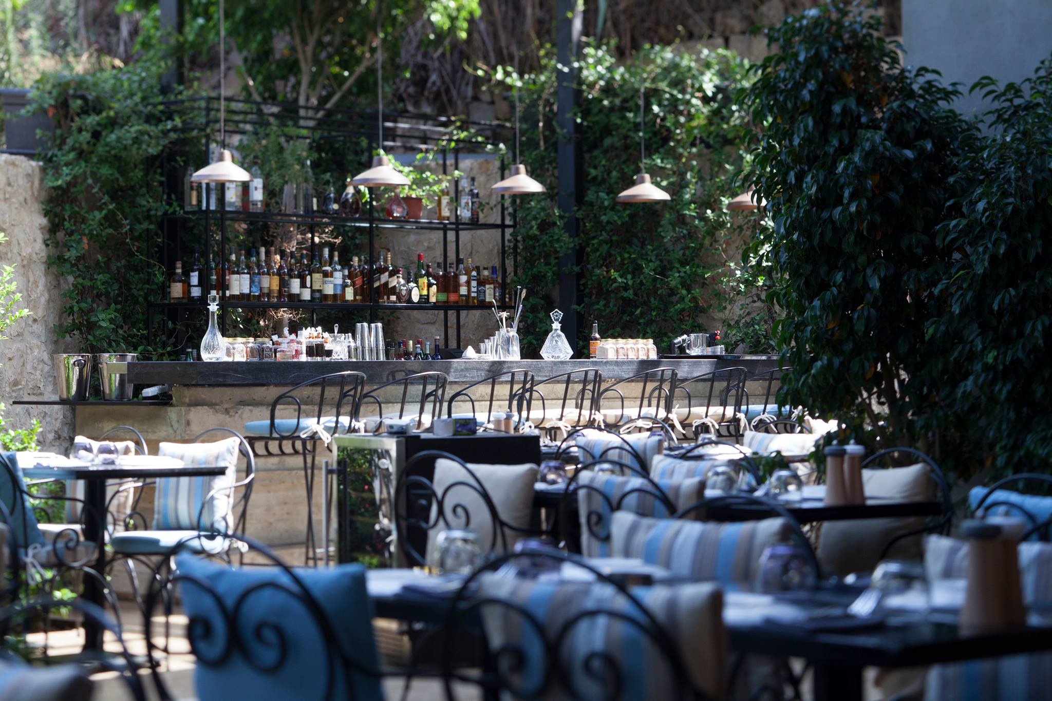 sud resto - Taste & Flavors